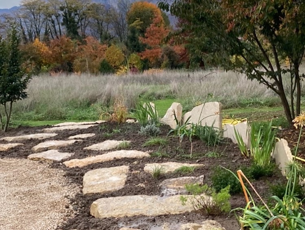 Qu’est-ce que l'entretien d'un espace vert ? - BRUNET MANQUAT PAYSAGE