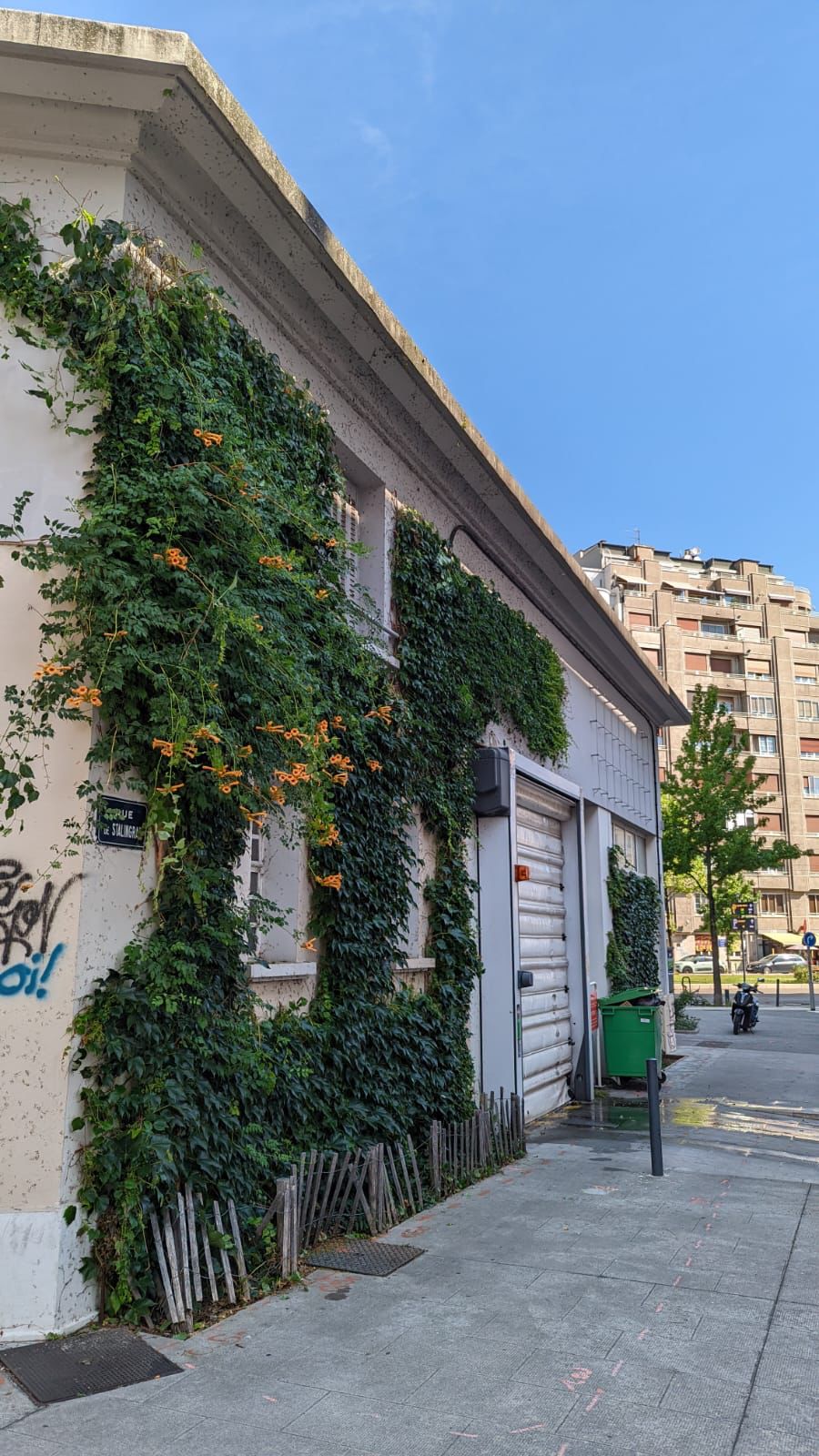 Végétalisation de façade - BRUNET MANQUAT PAYSAGE