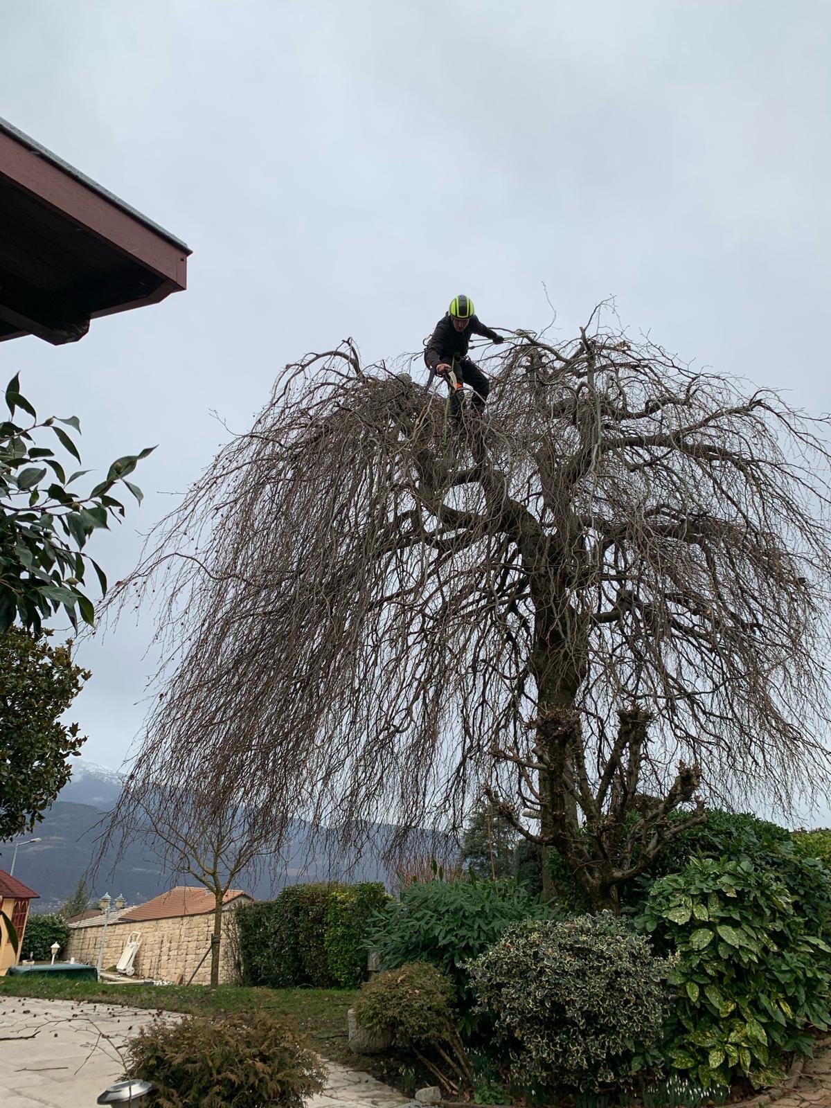 Actualités - BRUNET MANQUAT PAYSAGE