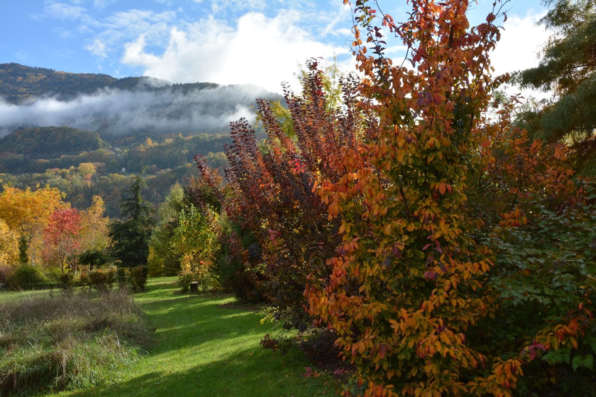 Tout savoir sur la plantation des arbustes - BRUNET MANQUAT PAYSAGE