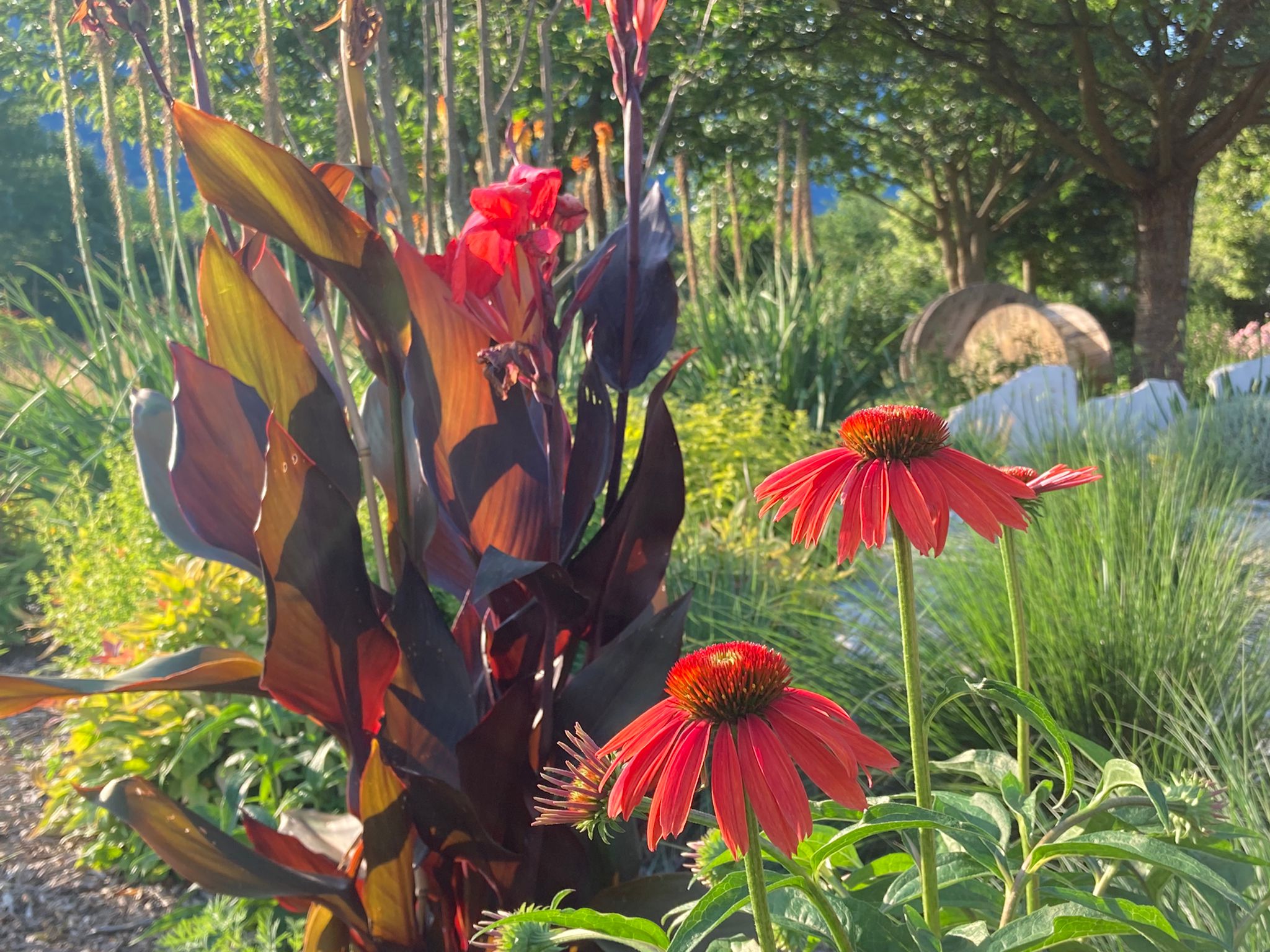 Massif de plantes vivaces - BRUNET MANQUAT PAYSAGE